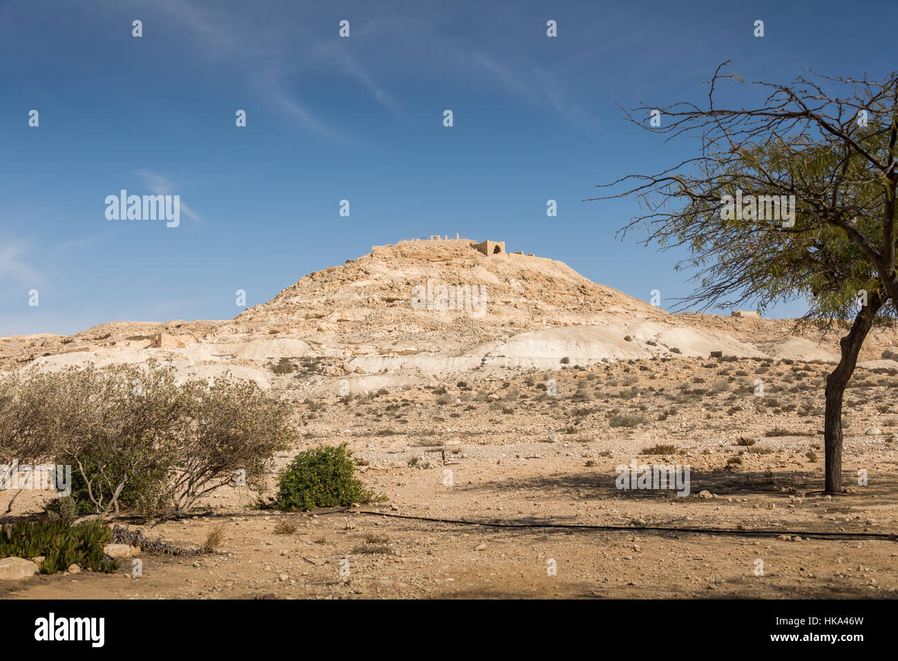 Avdat National Park in Southern Israel Stock Photo - Alamy