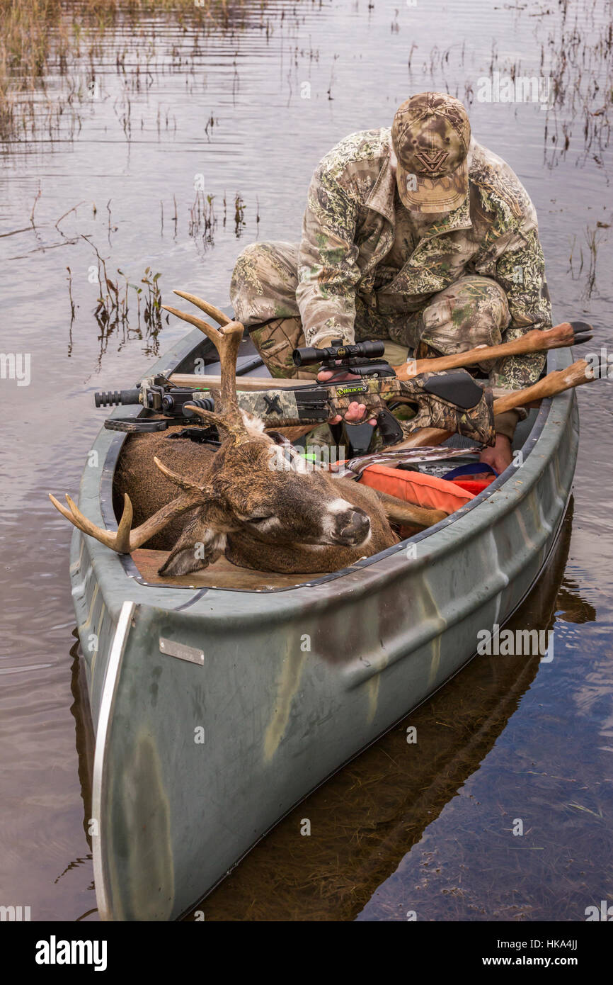 Crossbow hunter returning in a canoe with his 8-point white-tailed buck ...