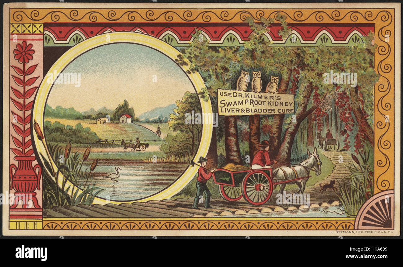 Use Dr. Kilmer's Swamp Root Kidney Liver & Bladder Cure (front Stock ...