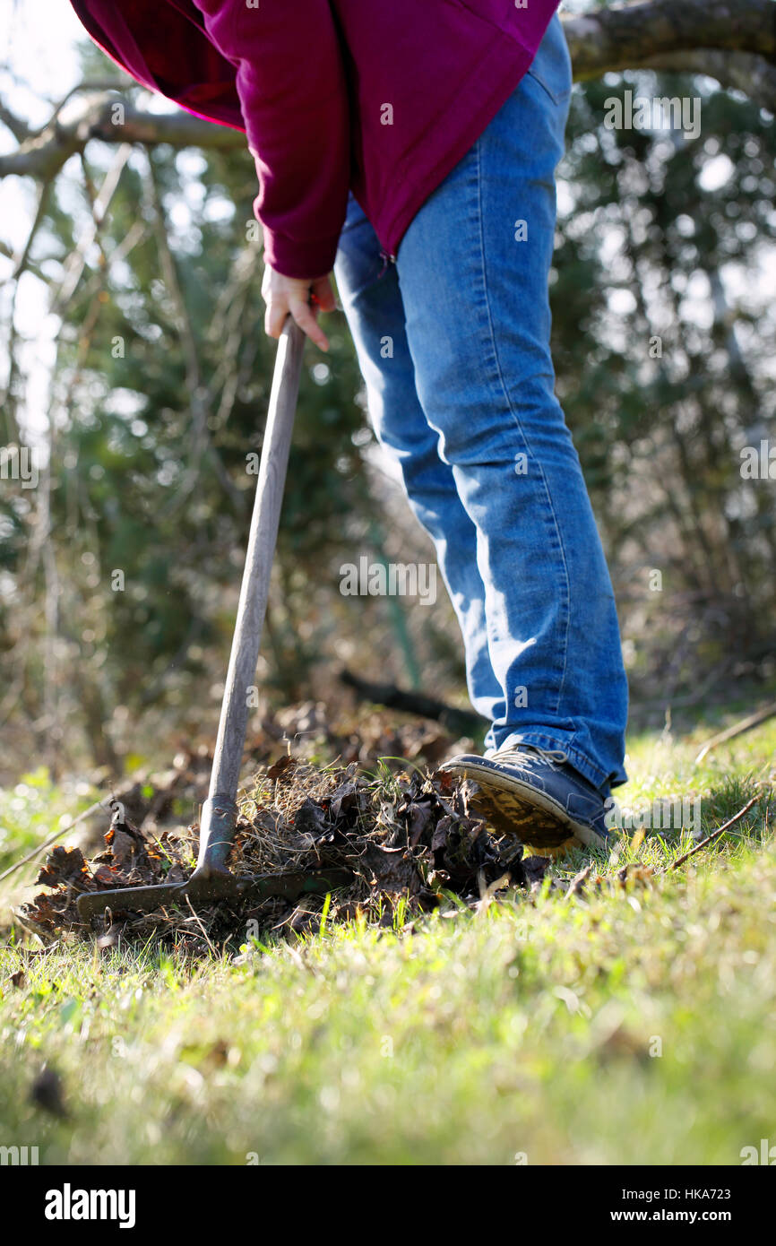 Woman gardener raking soil hi-res stock photography and images - Alamy