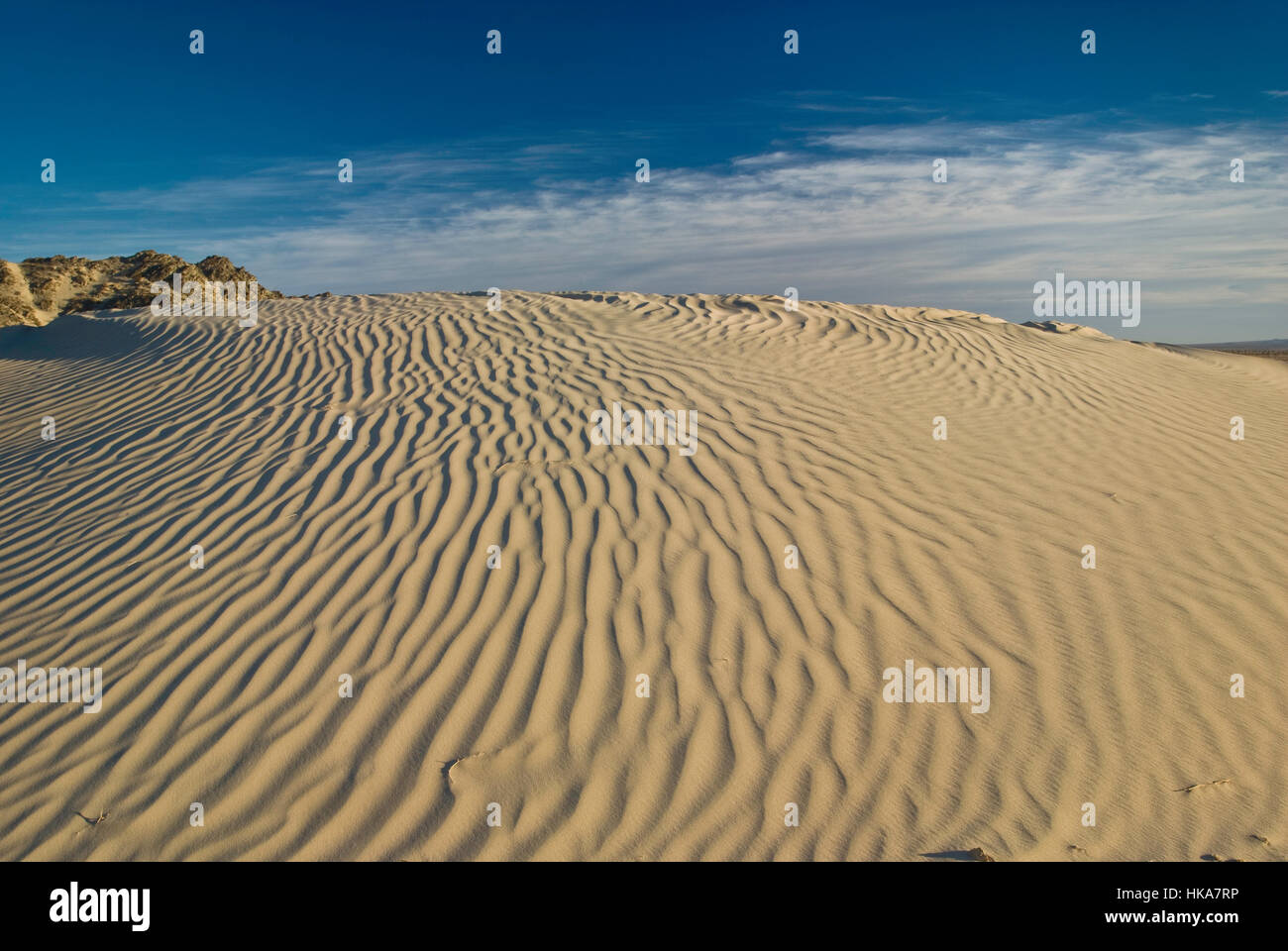 Cadiz Dunes in Mojave Trails National Monument, Mojave Desert ...
