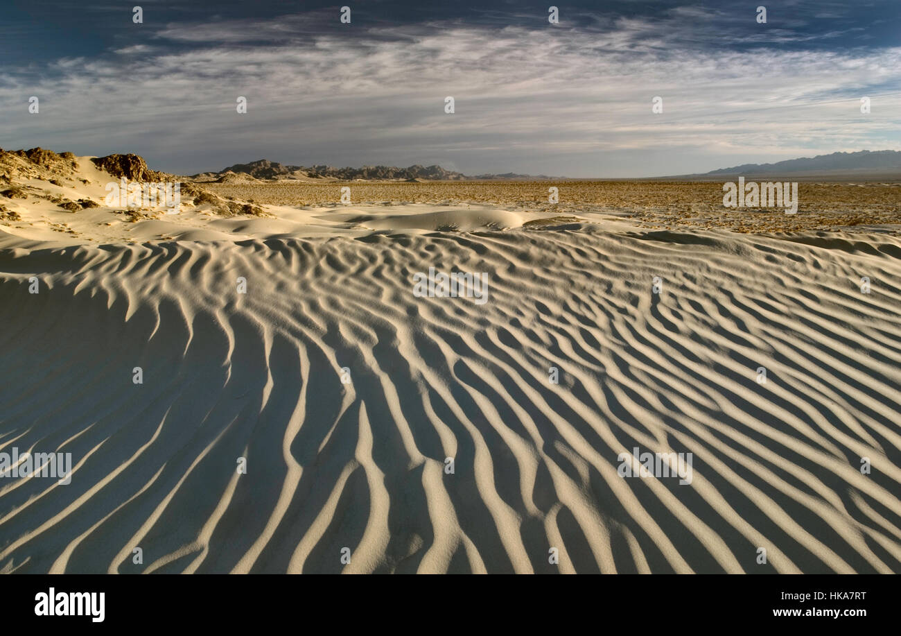 Cadiz Dunes in Mojave Trails National Monument, Mojave Desert ...