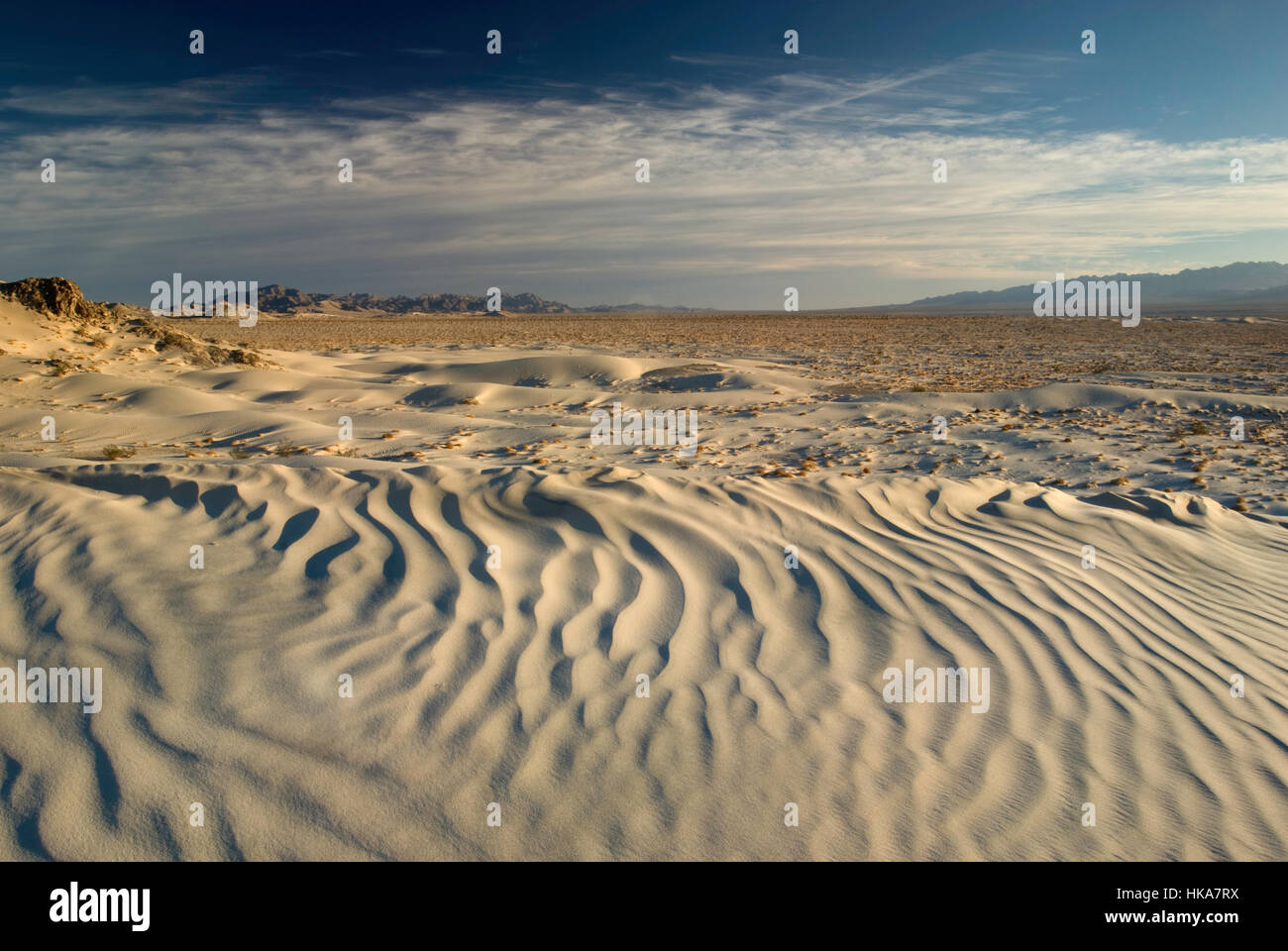 Cadiz Dunes in Mojave Trails National Monument, Mojave Desert ...