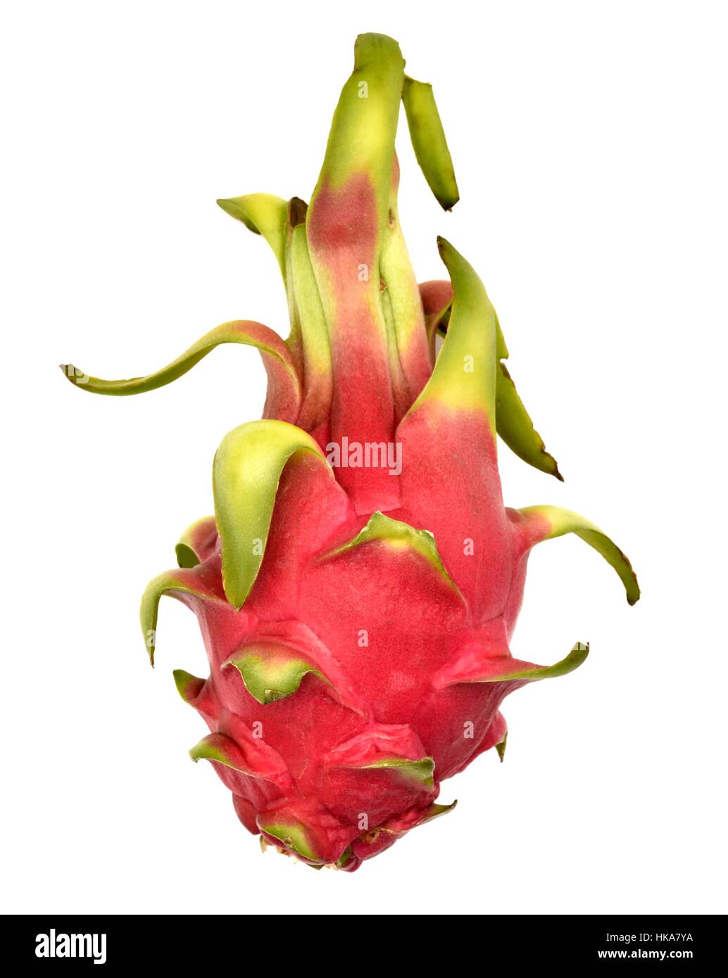 Buah naga Cut Out Stock Images & Pictures - Alamy