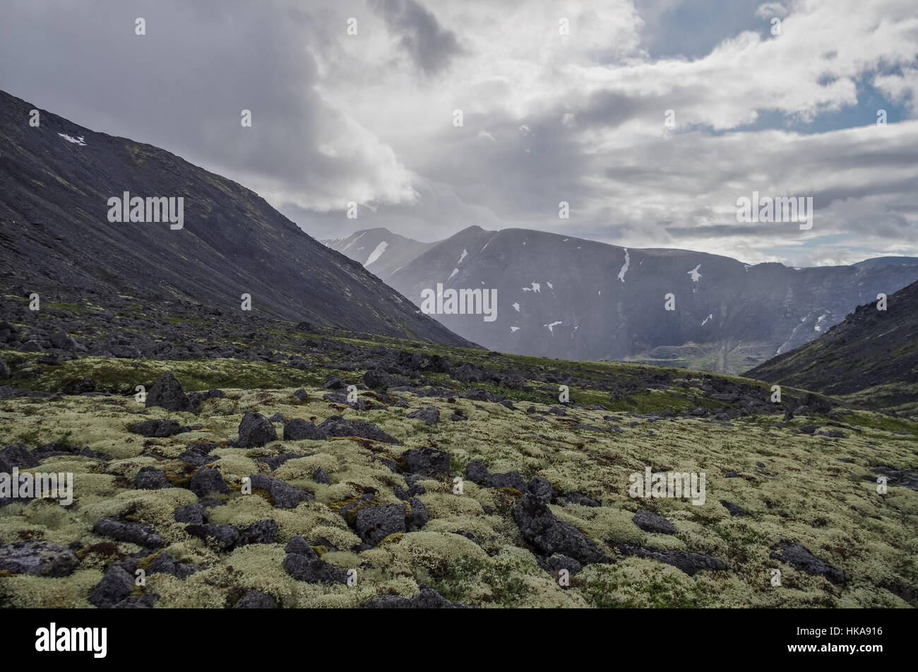 Mountain tundra with mosses and rocks covered with lichens, Hibiny ...