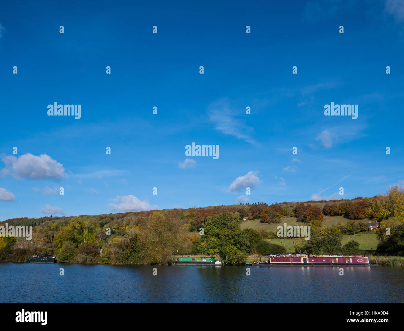 Two, Narrow Boats, Green and Red, River Thames, nr Purley on Thames ...