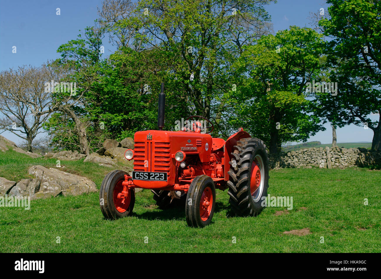International B-250 tractor Stock Photo - Alamy
