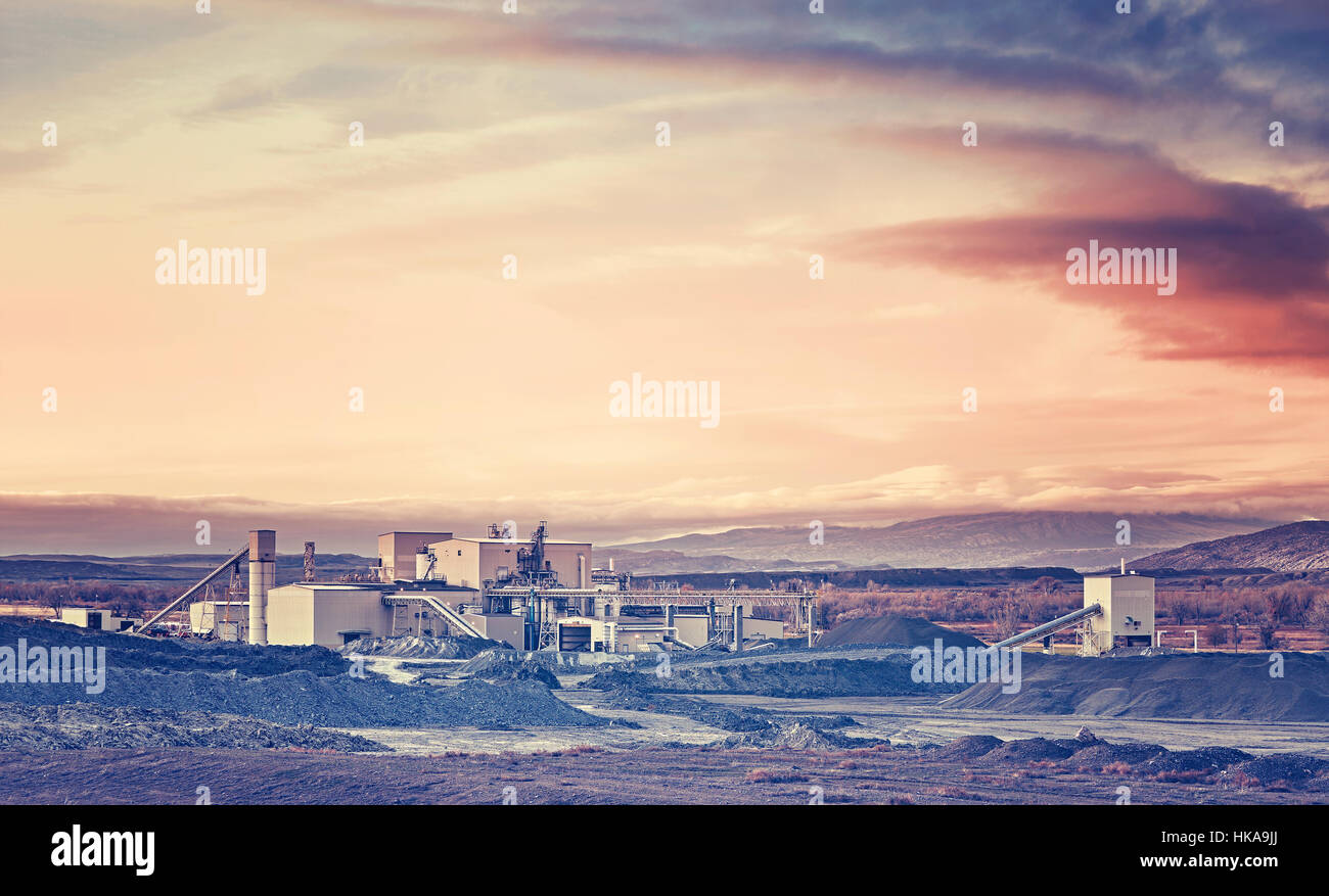 Plant at sunset, color toned picture, USA Stock Photo - Alamy