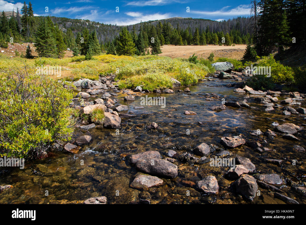 Beartooth loop hi-res stock photography and images - Alamy