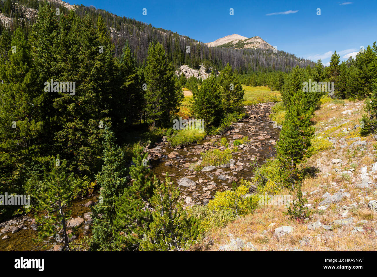 Beartooth mountain hi-res stock photography and images - Alamy