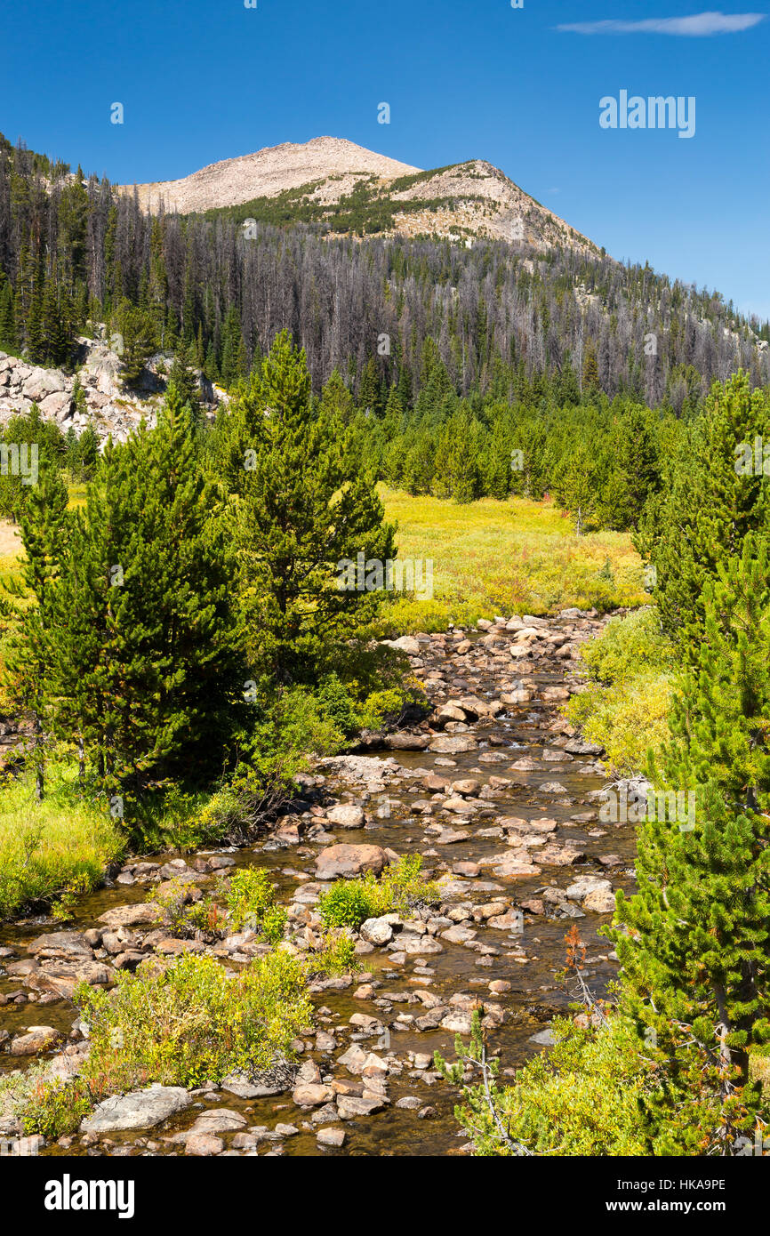 Beartooth mountain hi-res stock photography and images - Alamy