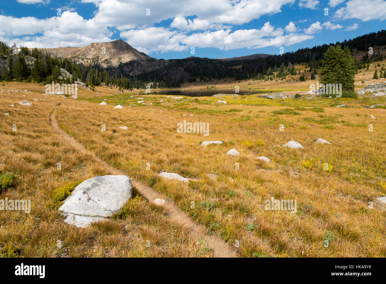 The Beartooth Loop Trail winding around to Losekamp Lake in the ...