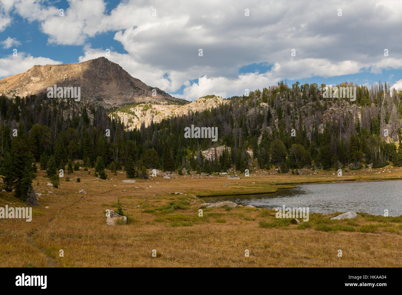 The Beartooth Loop Trail winding around to Losekamp Lake in the ...
