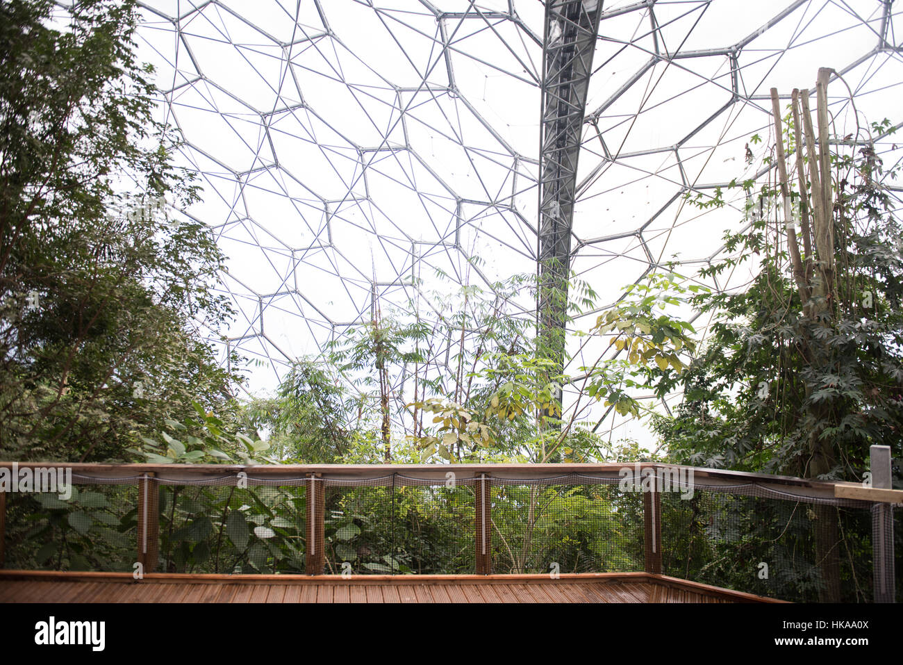 The Rainforest Biome, Eden Project Stock Photo - Alamy