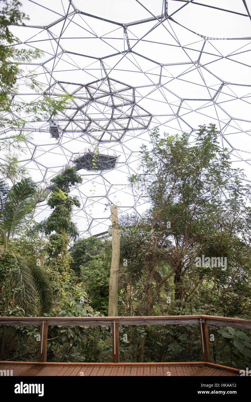 The Rainforest Biome, Eden Project Stock Photo - Alamy