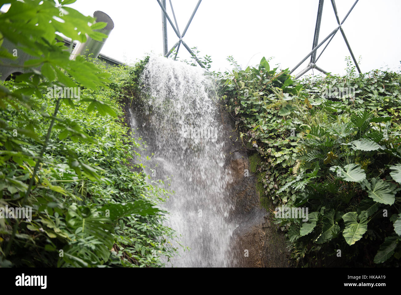 Waterfall, Rainforest Biome, Eden Project Stock Photo - Alamy