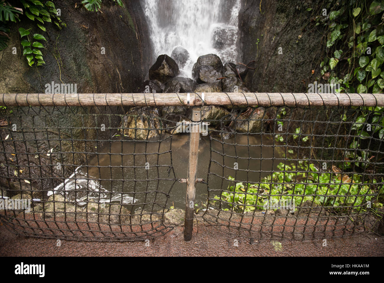 Waterfall, Rainforest Biome, Eden Project Stock Photo - Alamy