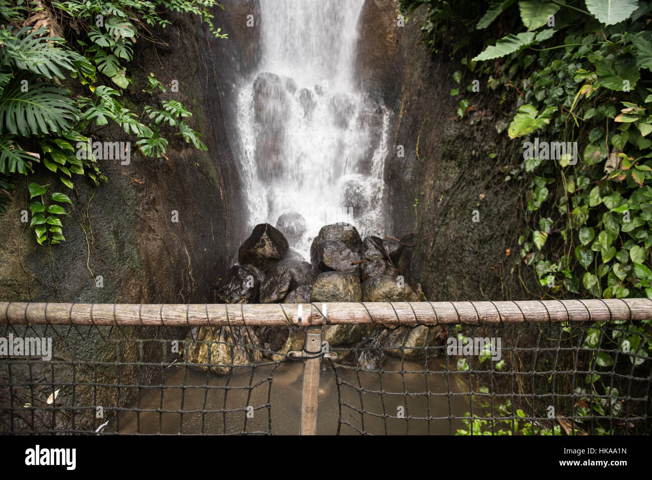 Waterfall, Rainforest Biome, Eden Project Stock Photo - Alamy