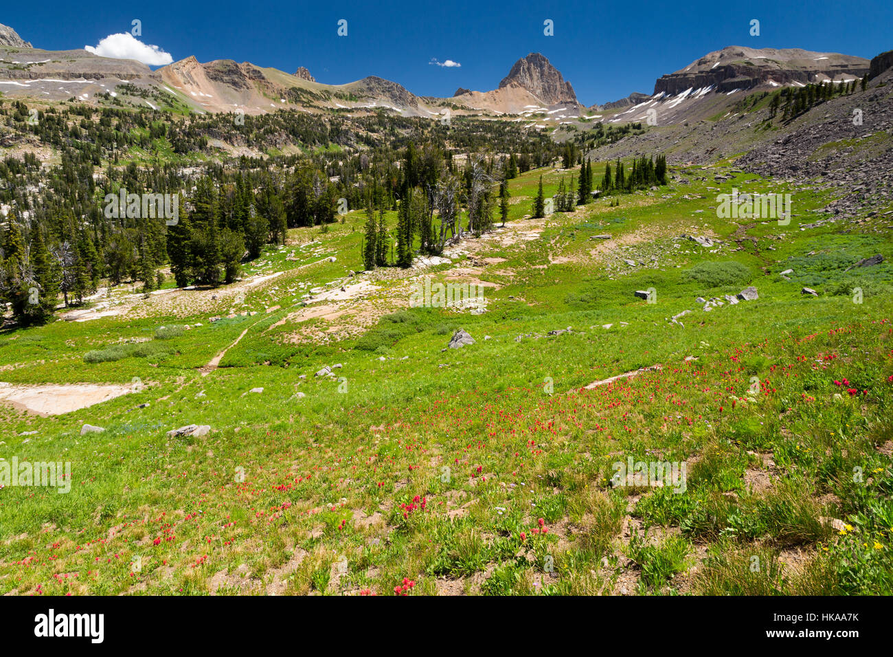 Buck Mountain above the Alaska Basin along the Teton Crest Trail in the ...