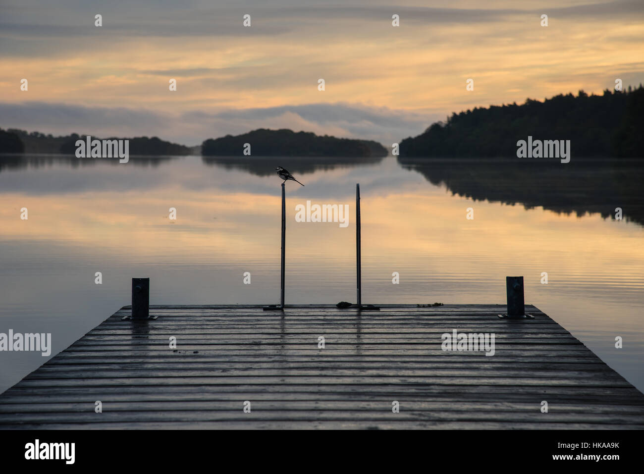 Jetty at sunset with Pied Wagtail, Lower Lough Erne, Fermanagh ...