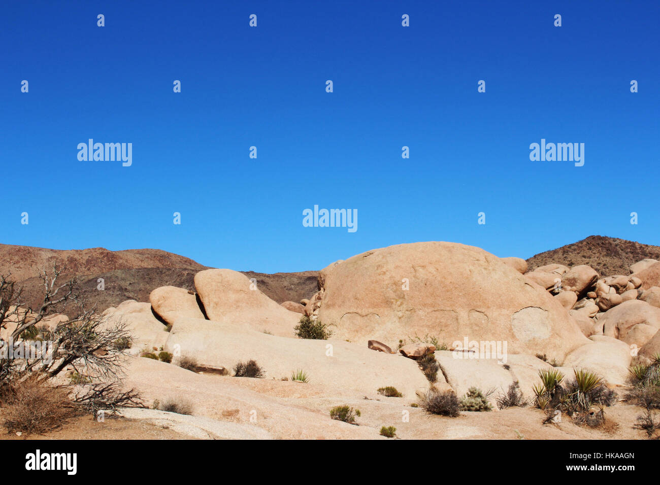 Unique rock formation, resembling a turtle, with scrub brush and ...