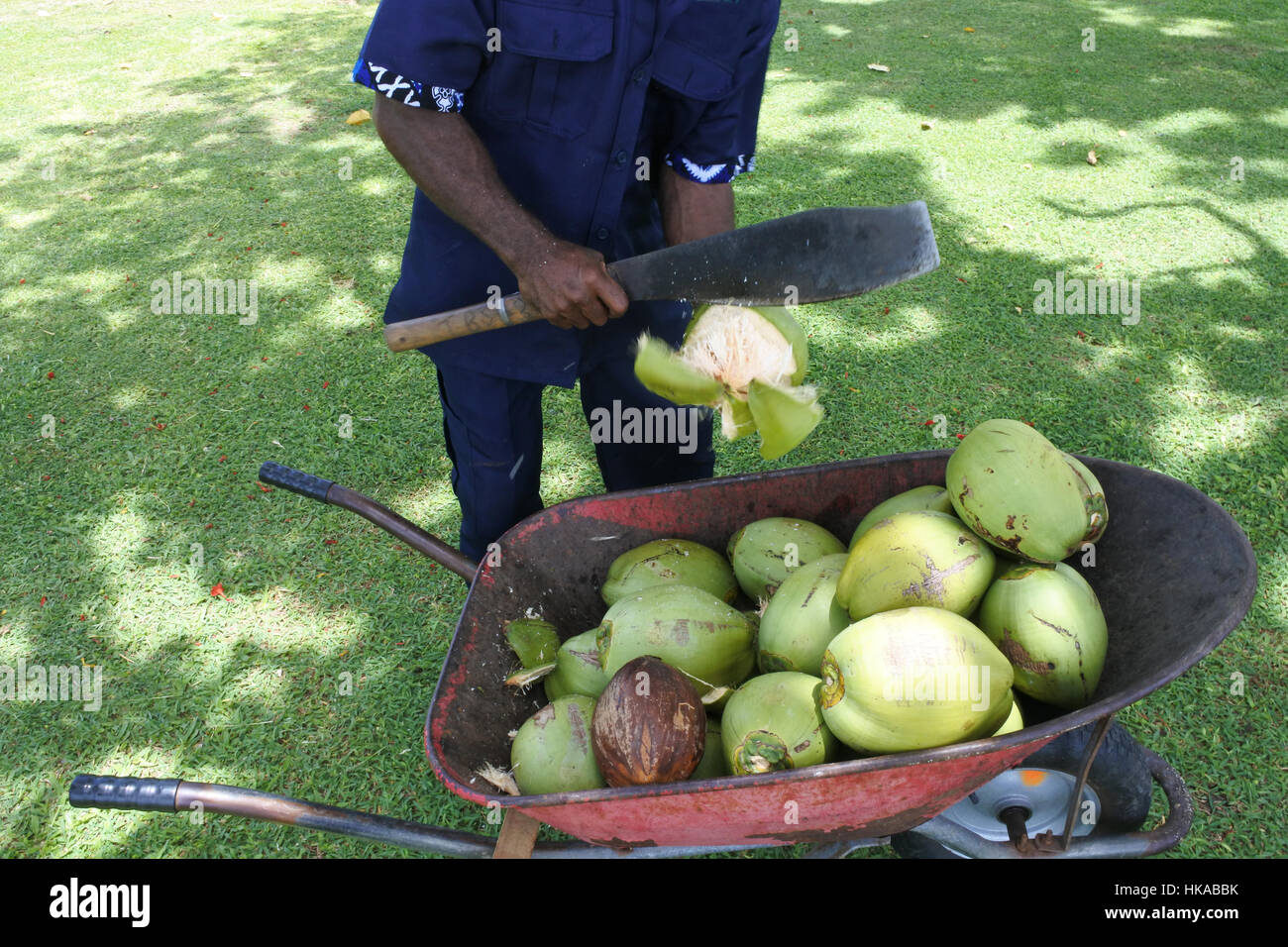Fijian Agriculture High Resolution Stock Photography and Images - Alamy