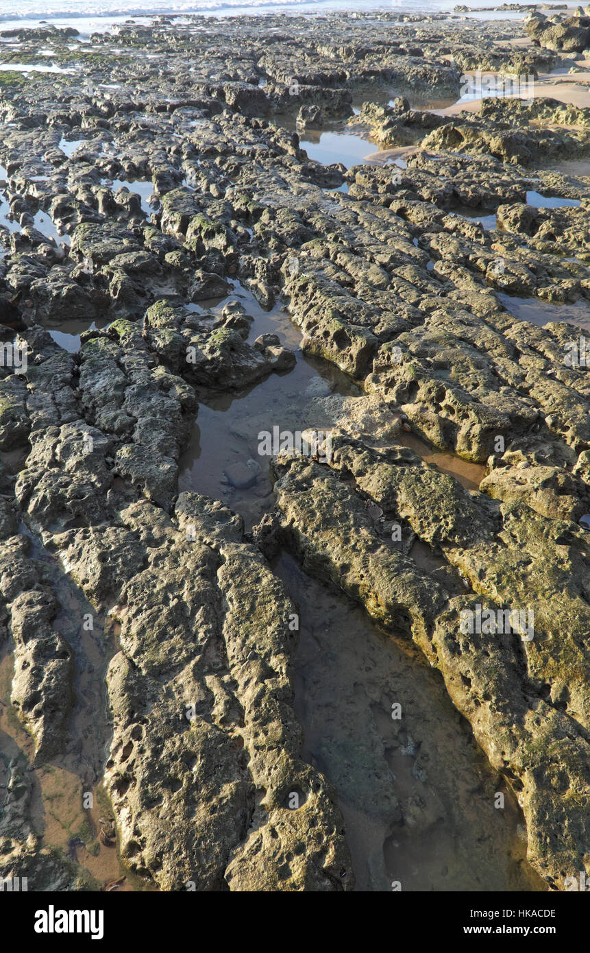 Beach scene in Gale beach. Albufeira, Algarve, Portugal Stock Photo - Alamy