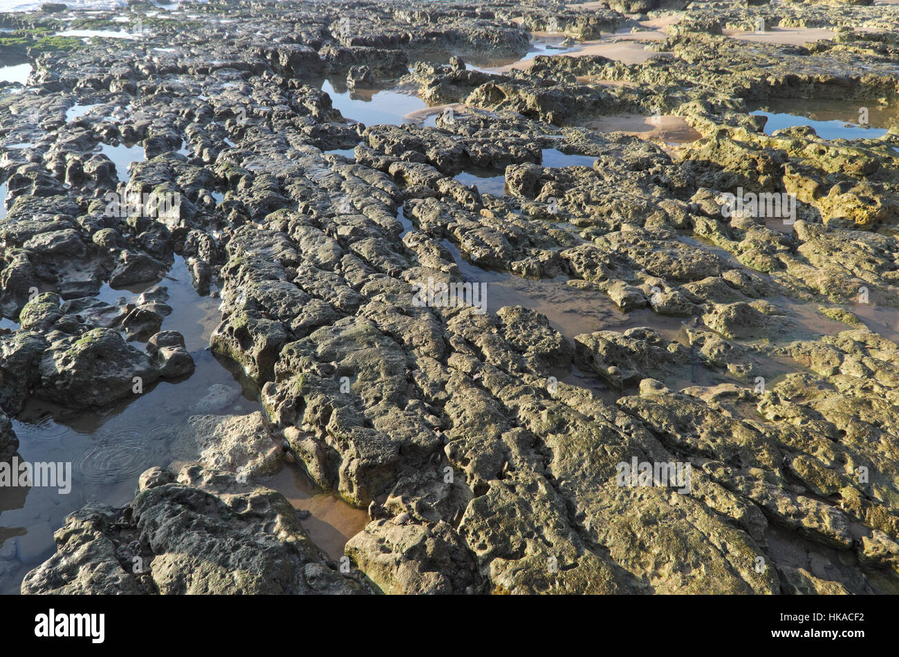 Beach scene in Gale beach. Albufeira, Algarve, Portugal Stock Photo - Alamy