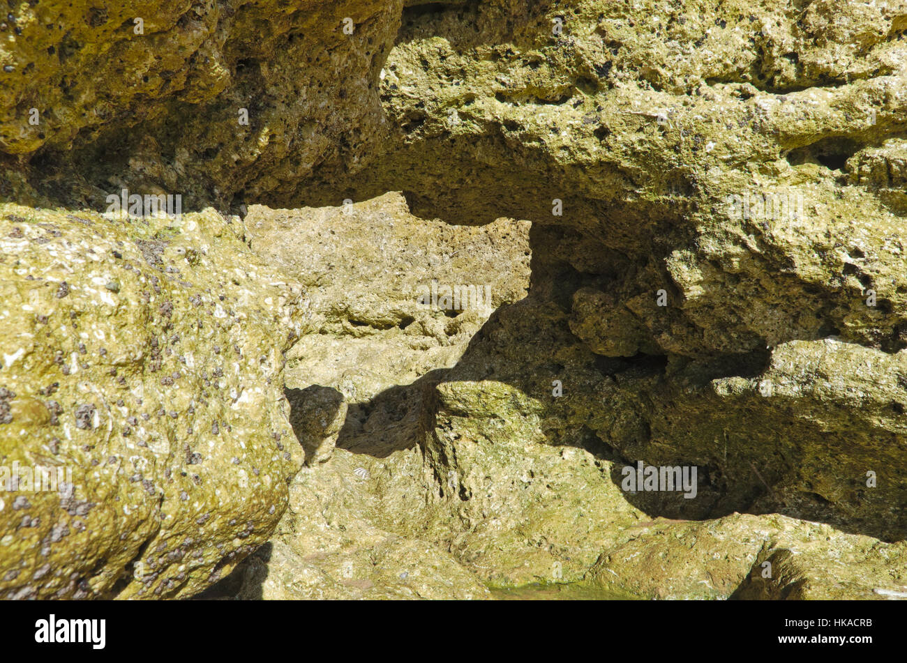Cliff texture hi-res stock photography and images - Alamy