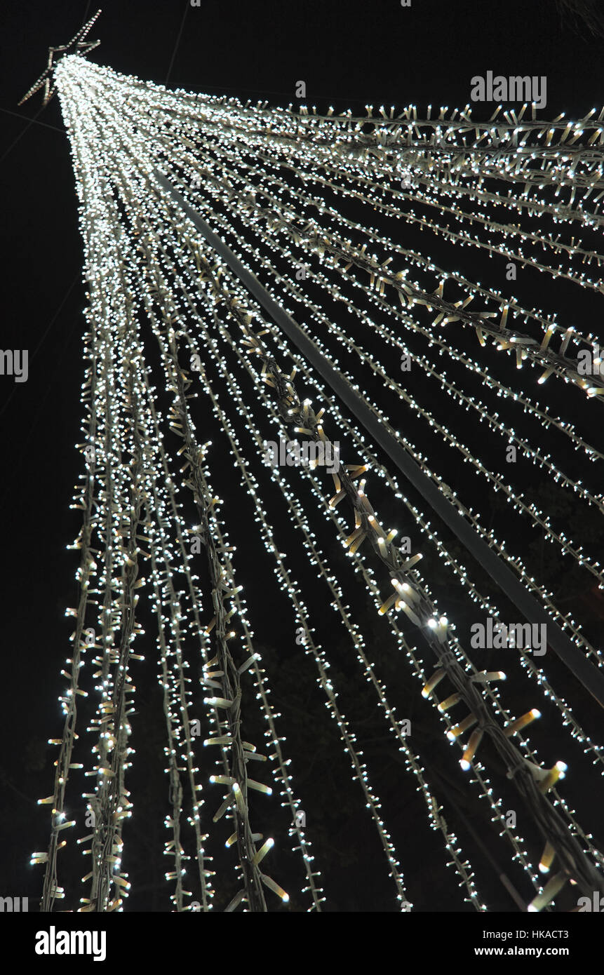 Black black christmas tree fairy lights hi-res stock photography and ...