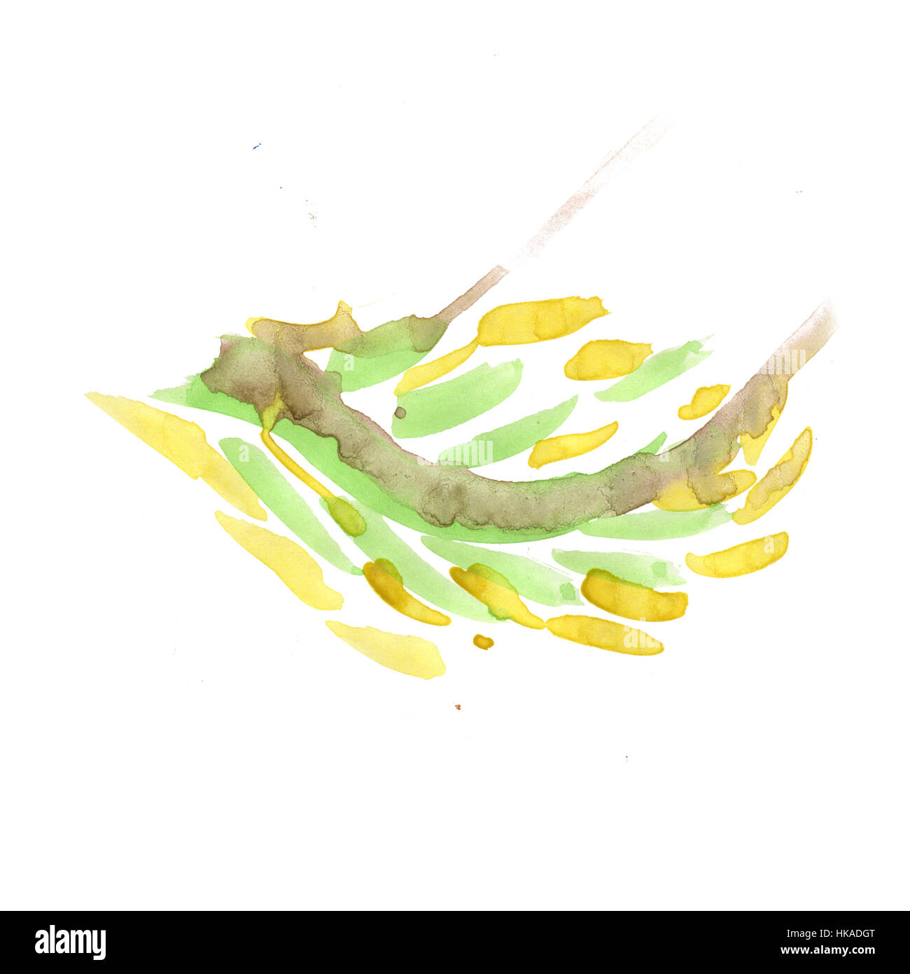 watercolor white green yellow background, stains abstract isolated ...