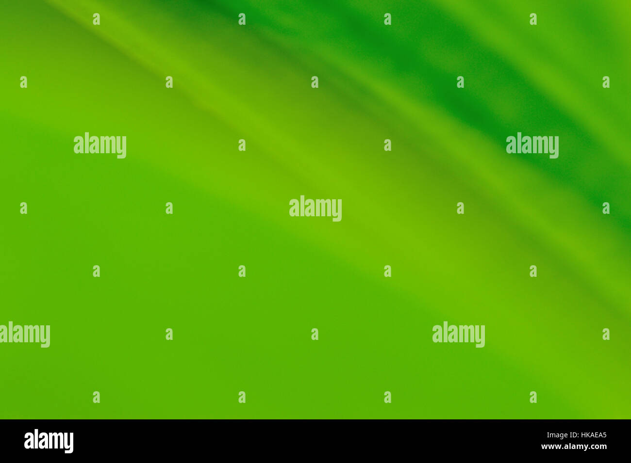 Blurred close up of texture of leaf Stock Photo - Alamy