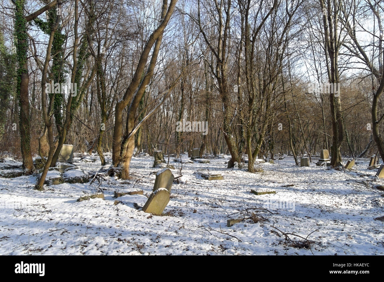 Jewish winter hi-res stock photography and images - Alamy