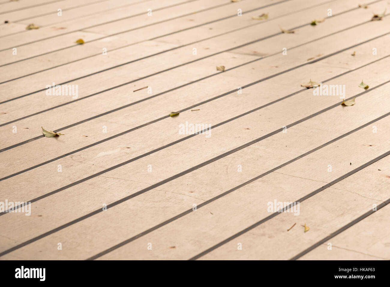 Pavement texture of the park, Background or Texture With Copy Space ...