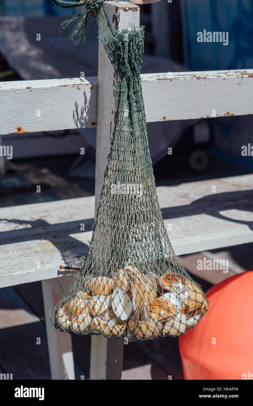 Many seashells in fishing net on the beach Stock Photo - Alamy