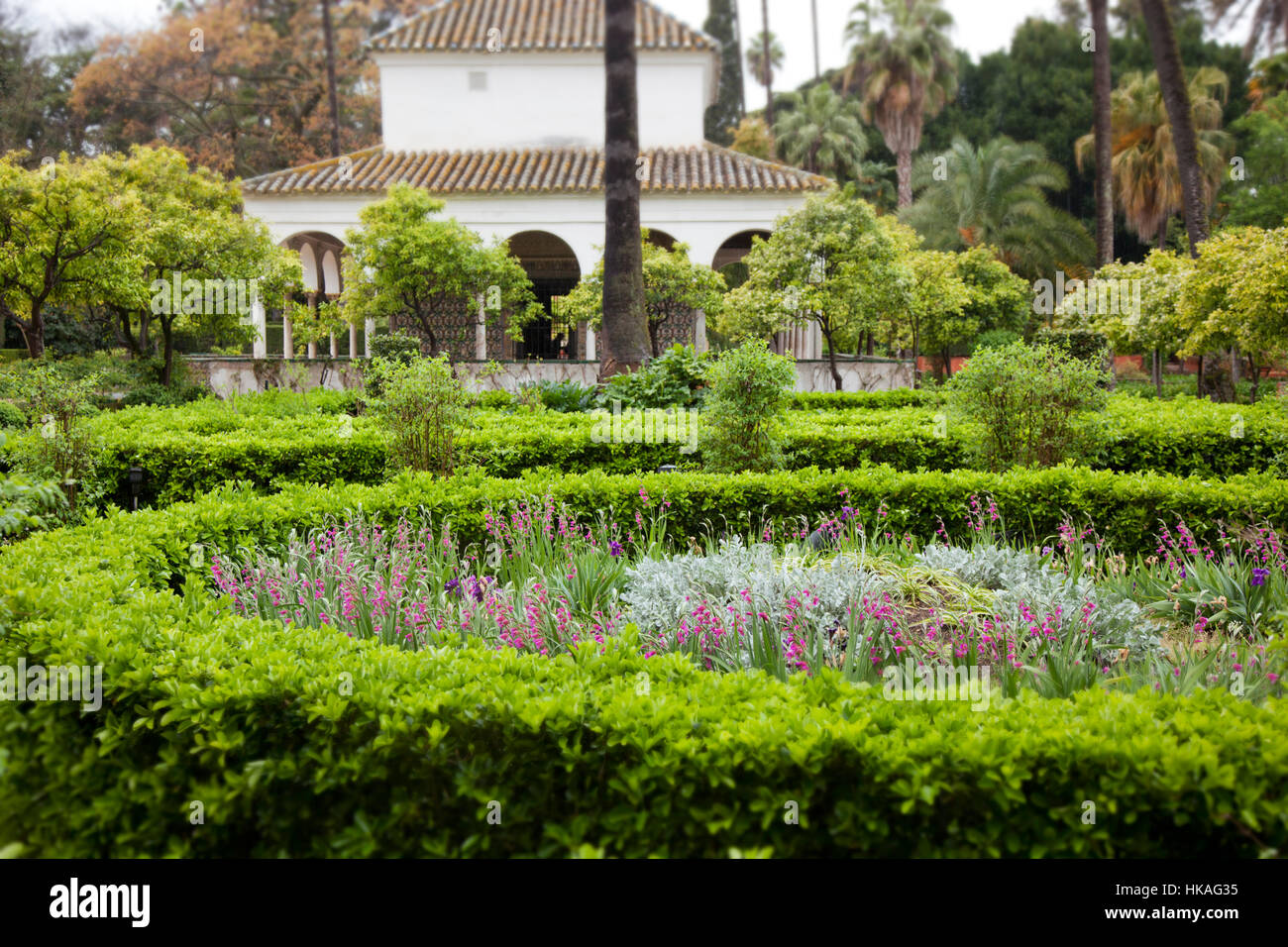 Springtime flowers in the gardens of the Alcazar in Seville, Andalucia ...