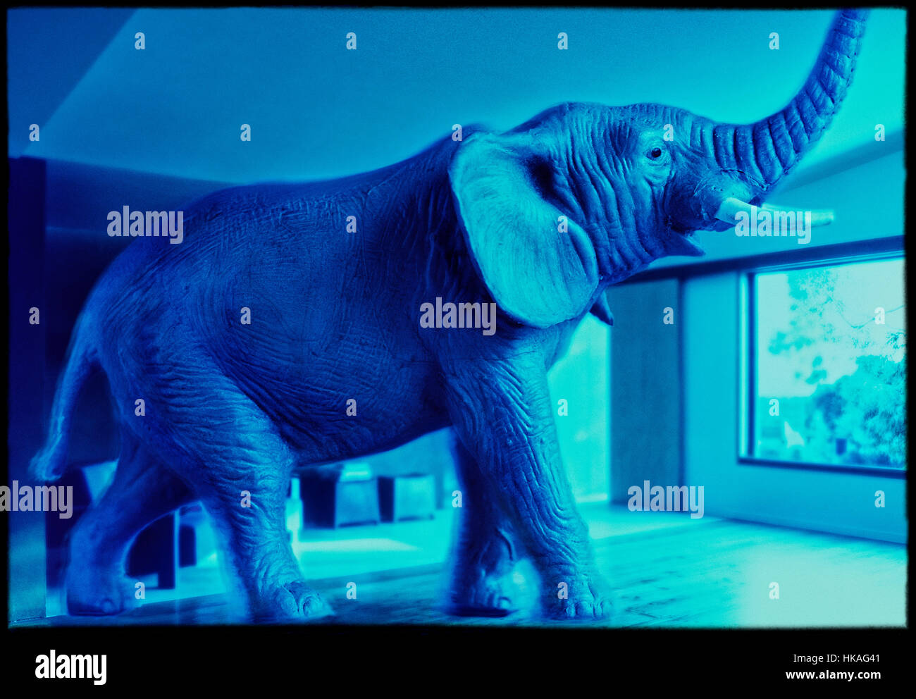 Groupthink condition hi-res stock photography and images - Alamy