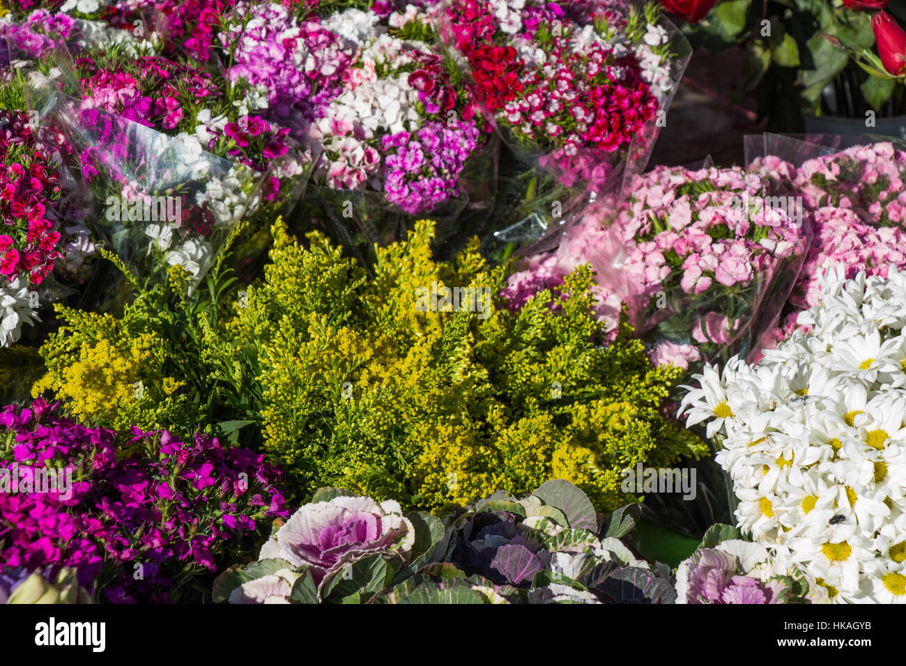 Beautiful fresh flowers as a nature background Stock Photo - Alamy