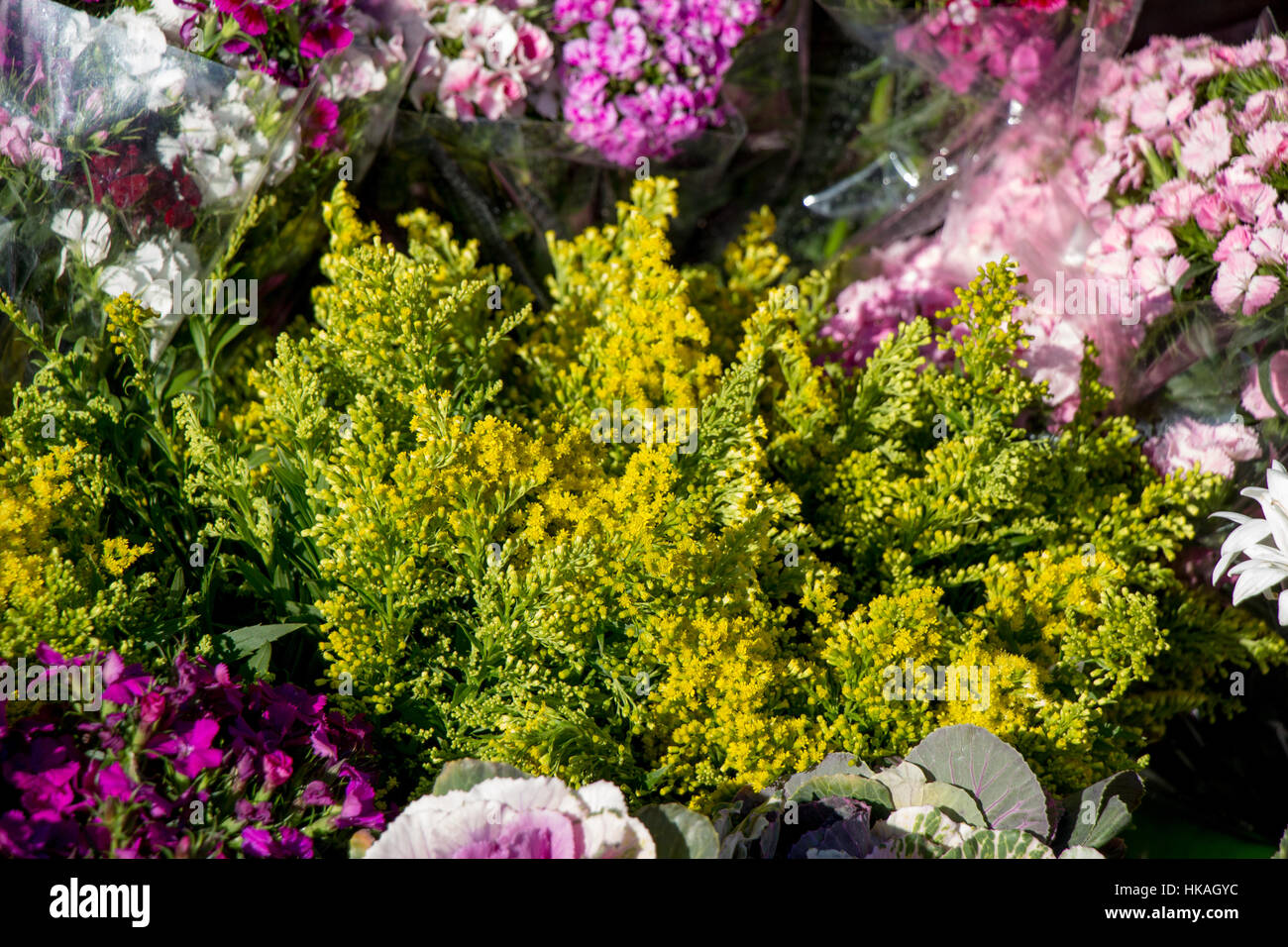 Beautiful fresh flowers as a nature background Stock Photo - Alamy