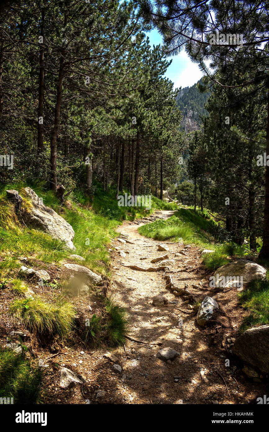Landscape from Valley of Nuria in Spain Stock Photo - Alamy