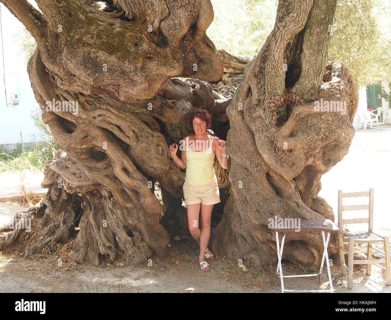 Allegedly in Kalamaki village in Zakynthos island, Greece is the oldest ...