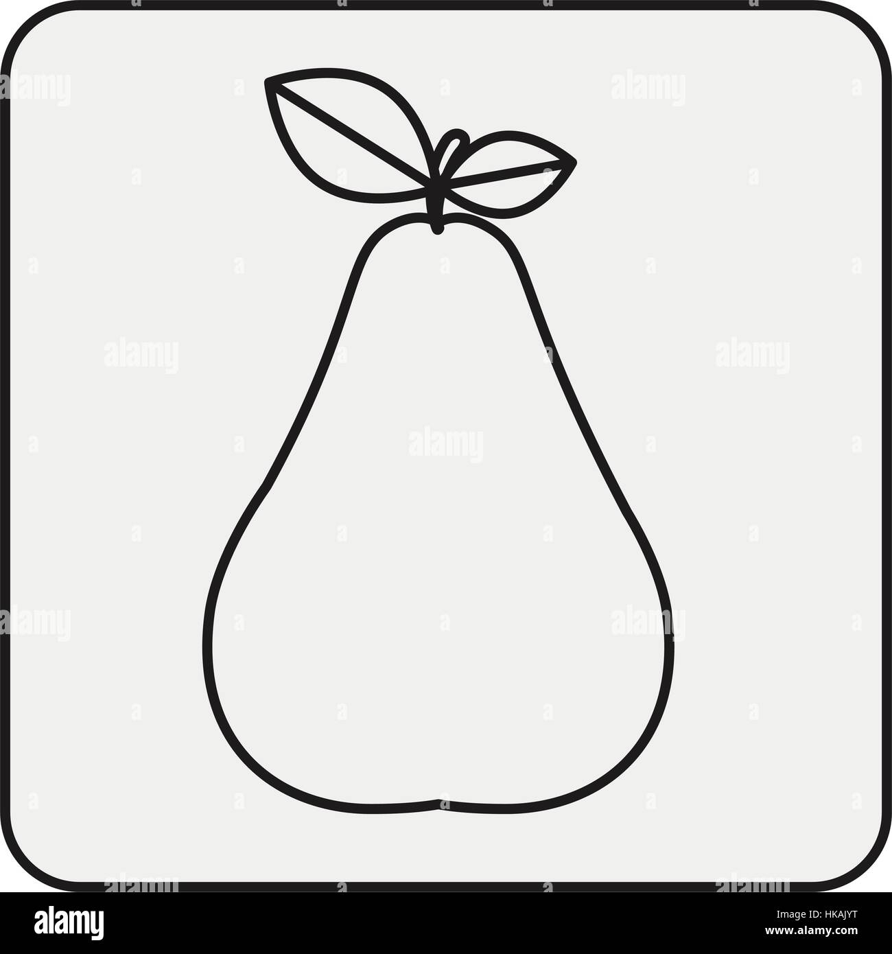 monochrome contour square with pear fruit Stock Vector Image & Art - Alamy