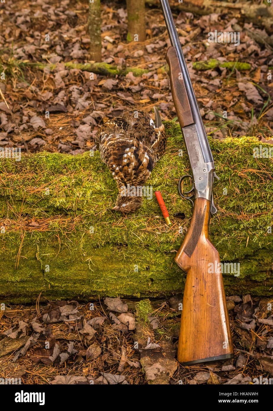 410 shotgun hi-res stock photography and images - Alamy