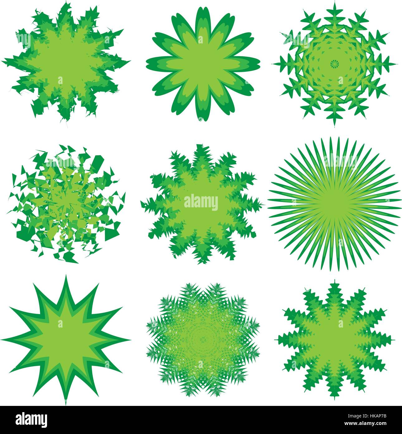 Tree Plan Drawing