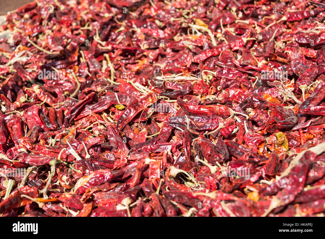 Growing and harvesting hi-res stock photography and images - Alamy