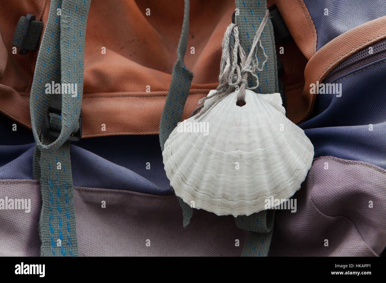 Scallop shell fixed on a pilgrim's backpack seen next to pilgrim's ...