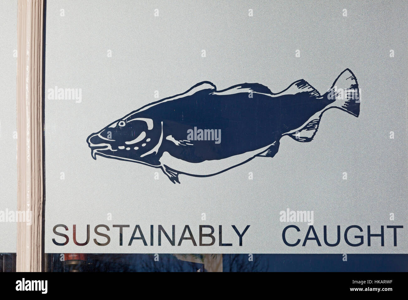 A sign in a pub restaurant window advising customers about the fish it ...