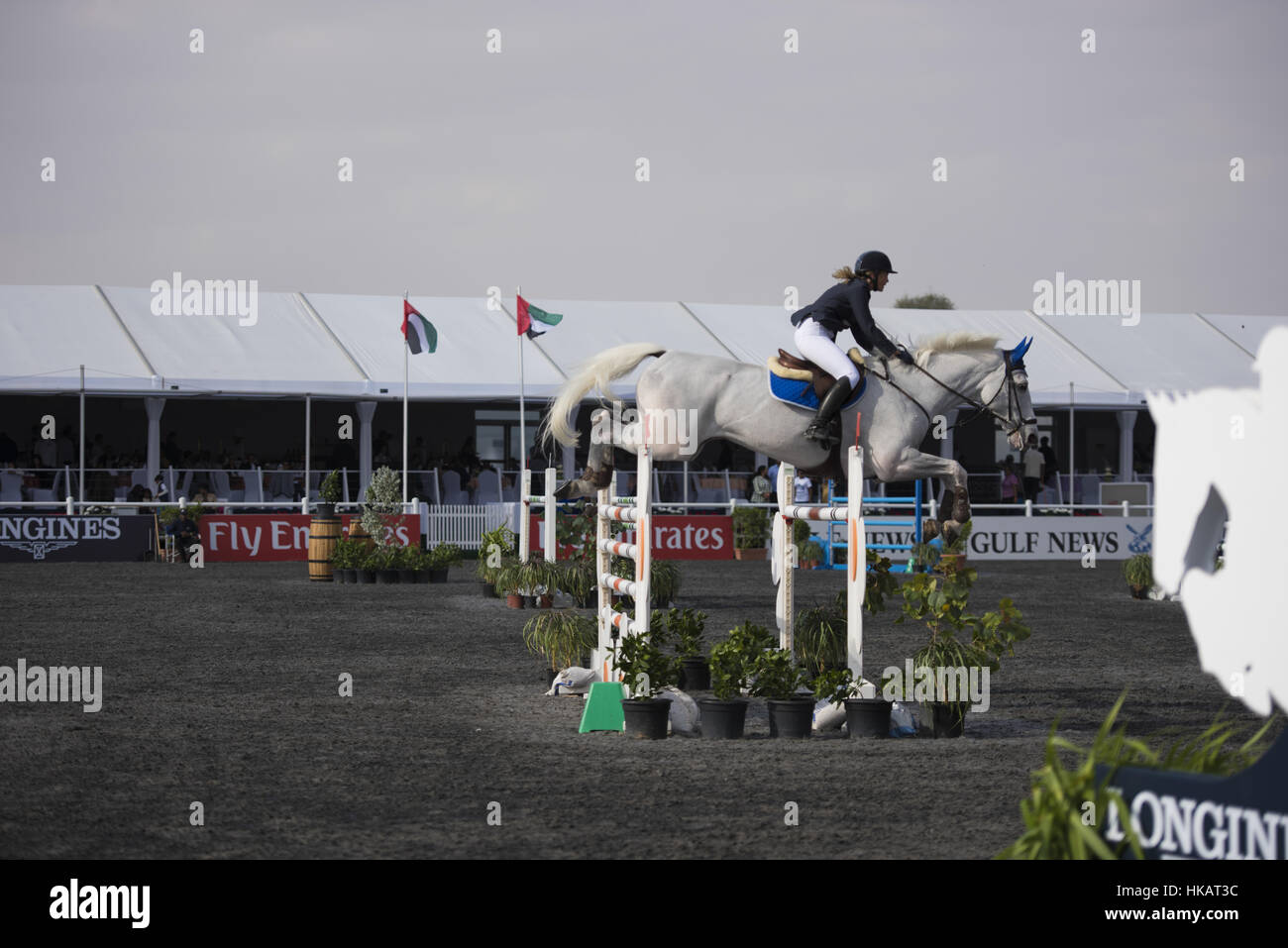 Horse Jumping Championship Stock Photo - Alamy