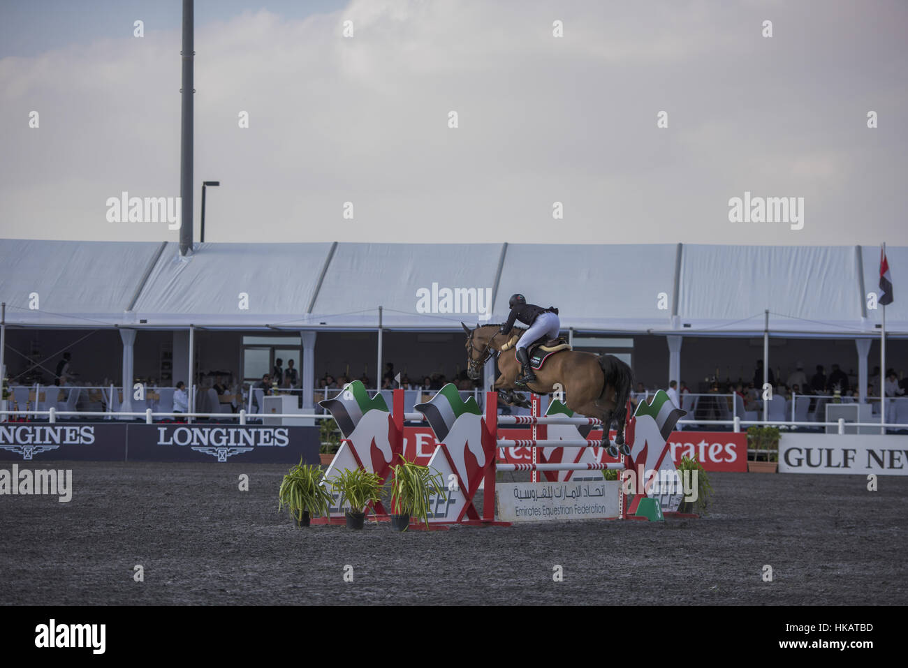 Horse Jumping Championship Stock Photo - Alamy