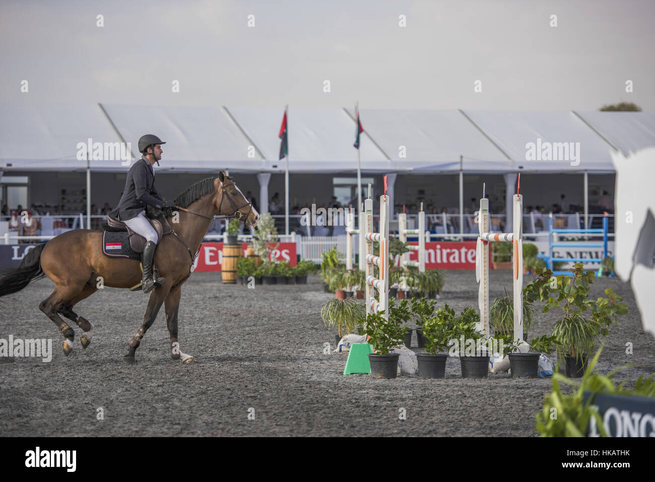 Horse Jumping Championship Stock Photo - Alamy